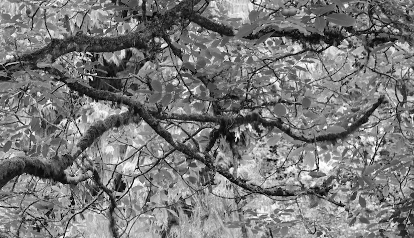 About Christopher Patton – The Art of Compost